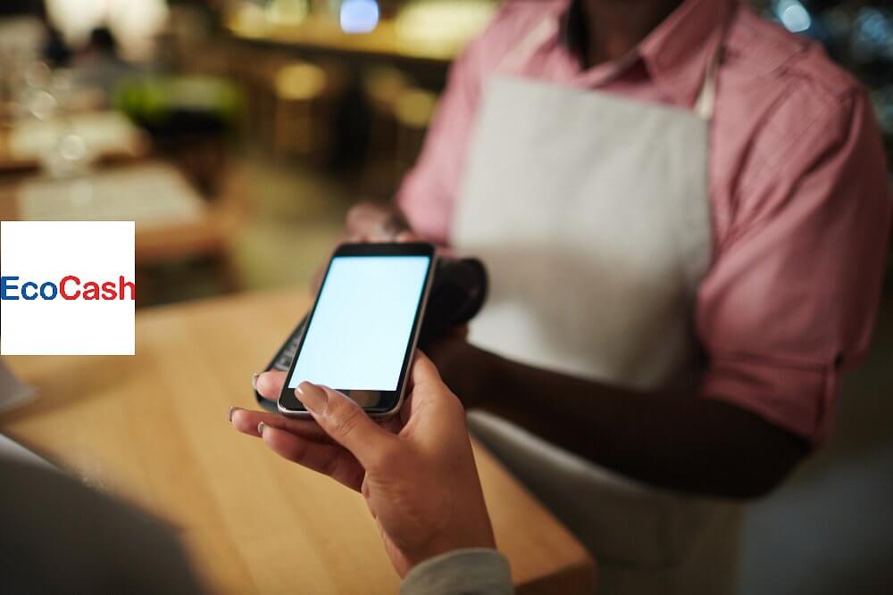 How to Reverse an Ecocash Transaction - Paynow Blog