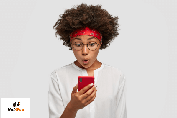 NetOne OneFi Bundles & Prices - Paynow Blog