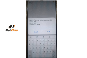 NetOne out of Bundle Browsing - What it is & How to Activate it